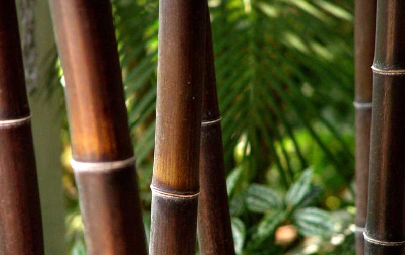 Welcome - Lattice Makers